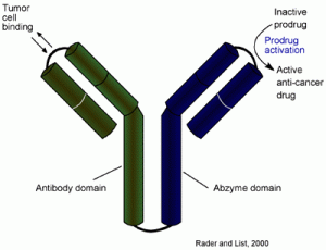 Novel Enzymes – Creative Enzymes Blog