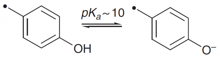 Introduction of Enzyme Chemistry – Creative Enzymes Blog