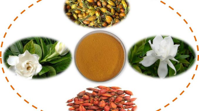 Fructus Gardeniae Extract: What is Its Function? – Creative Enzymes Blog