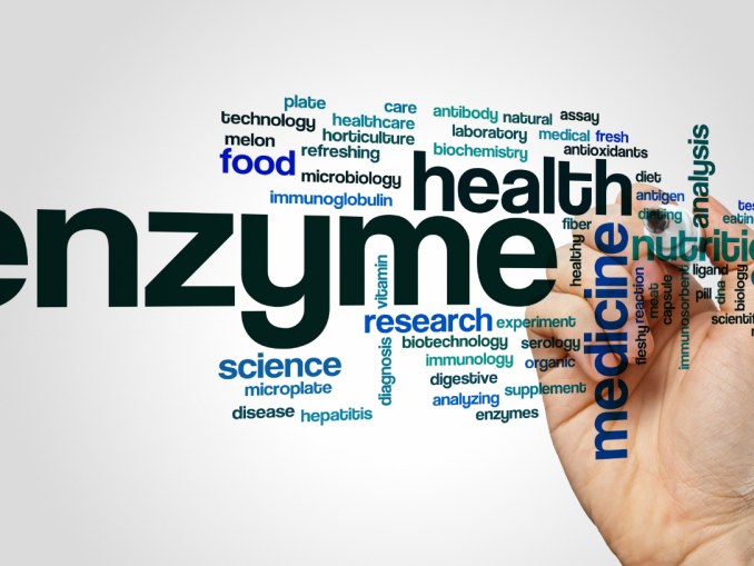 Enzyme Stability and Preservation – Creative Enzymes Blog