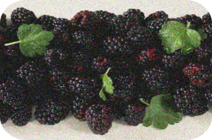 Black Raspberry Extract in Cancer Treatment – Creative Enzymes Blog
