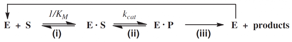 Principles of Enzyme Catalysis – Creative Enzymes Blog