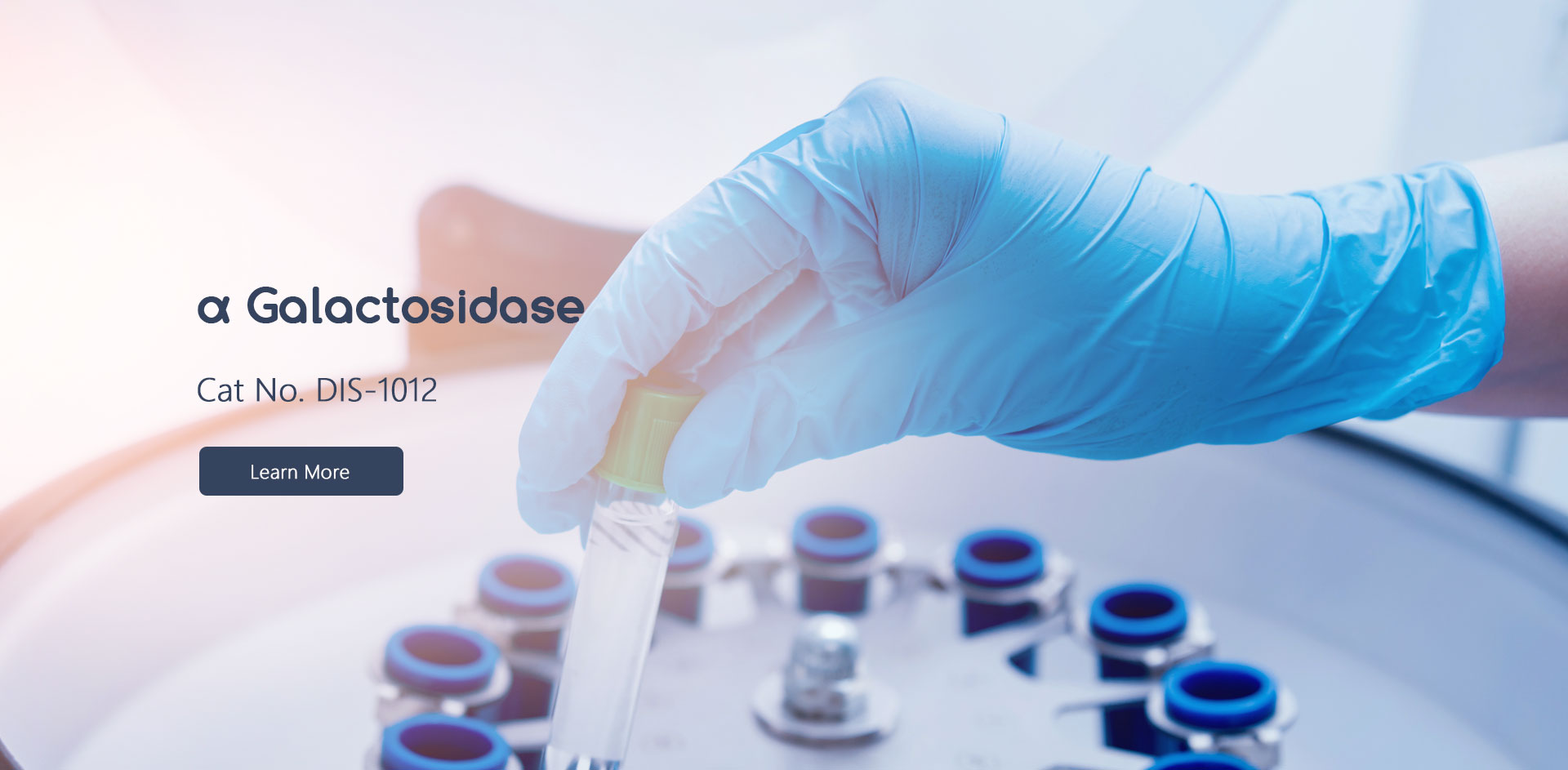 Enzyme, Zymogen, Coenzyme - Creative Enzymes