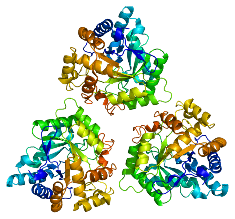 3α-Hydroxysteroid Dehydrogenase - Creative Enzymes