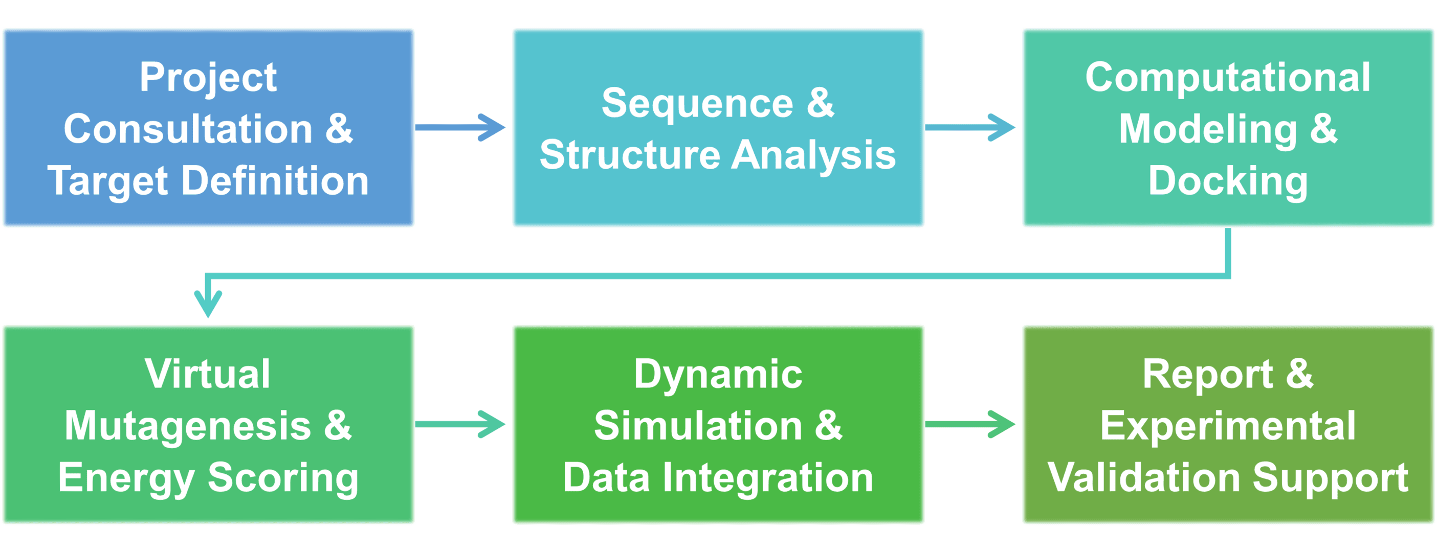 Computational Modeling & Bioinformatics for Rational Enzyme Design