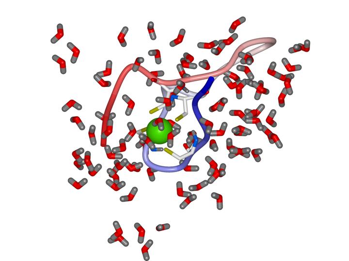 Alcohol dehydrogenase - Creative Enzymes