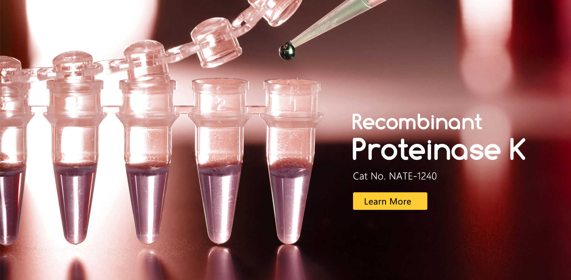 Enzyme, Zymogen, Coenzyme - Creative Enzymes