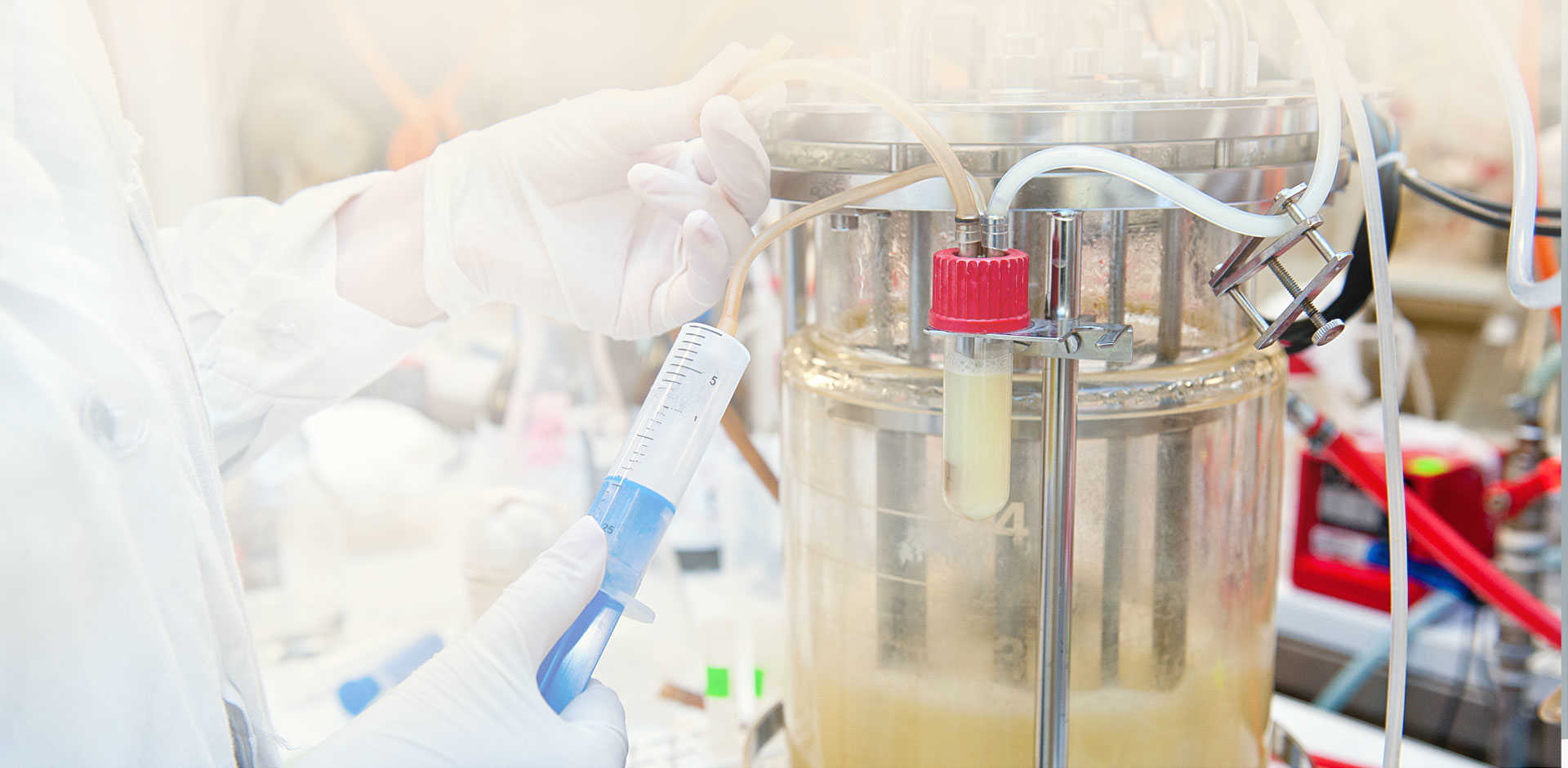 Enzyme, Zymogen, Coenzyme - Creative Enzymes