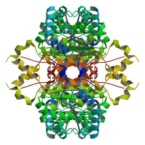 Enzyme Activity Measurement for Gluconate 5-Dehydrogenase Using ...