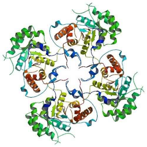 Enzyme Activity Measurement of IMP Dehydrogenase Using ...