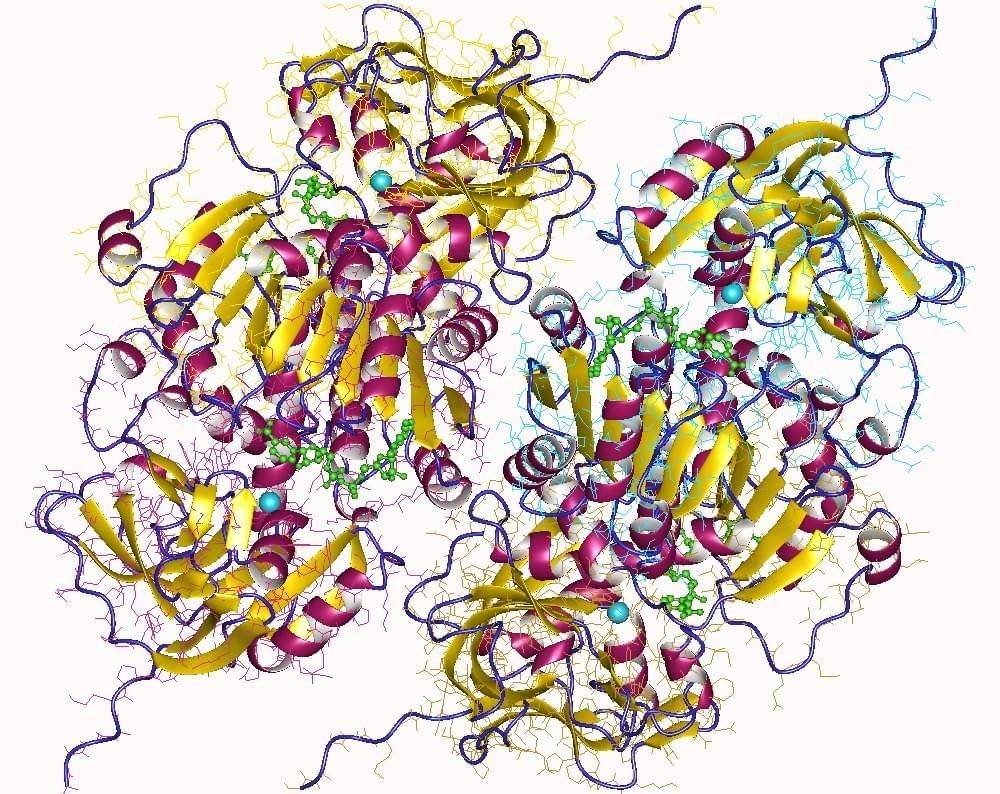 Enzyme Activity Measurement for L-Iditol 2-Dehydrogenase Using ...