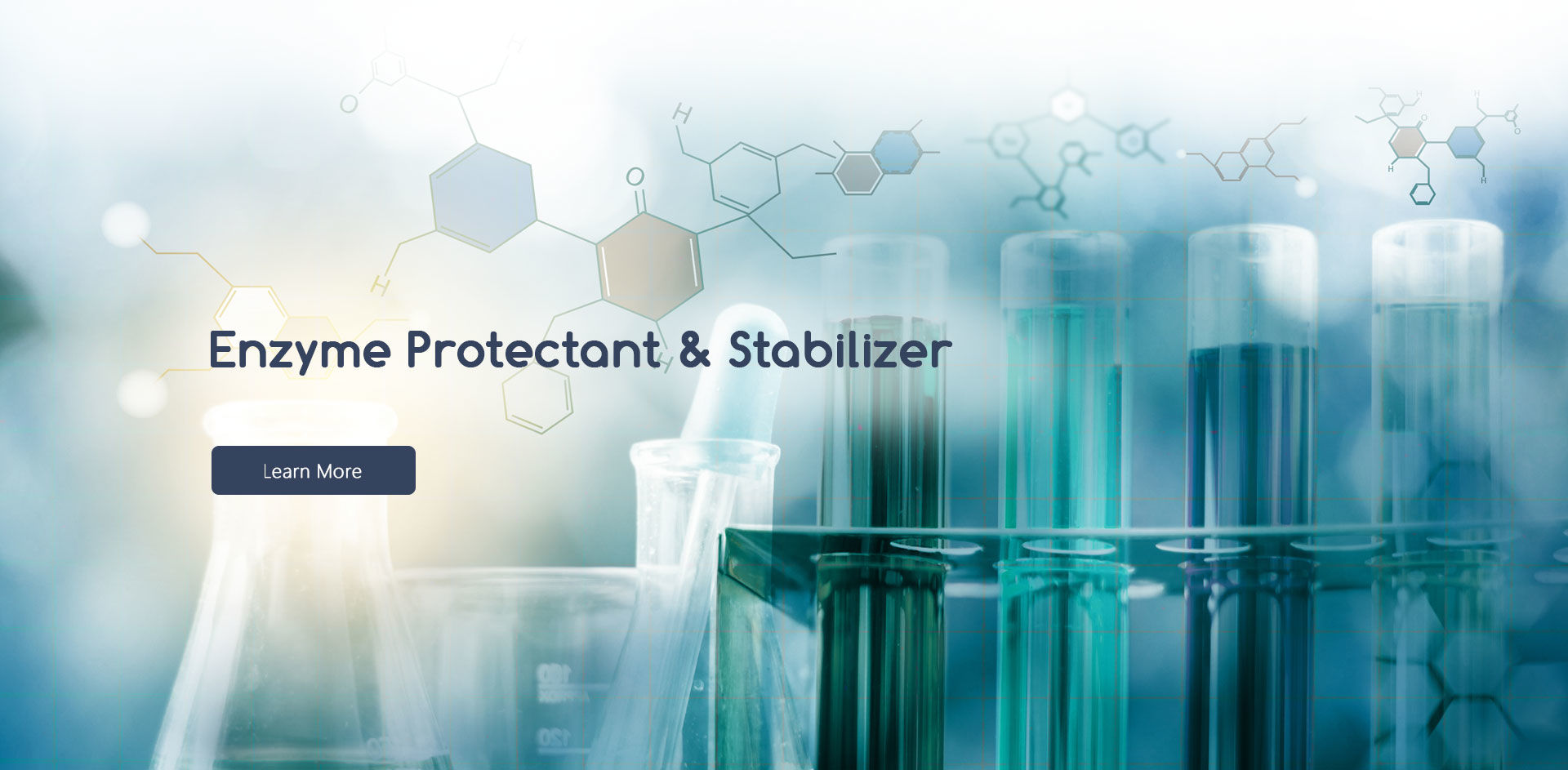 Enzyme, Zymogen, Coenzyme - Creative Enzymes