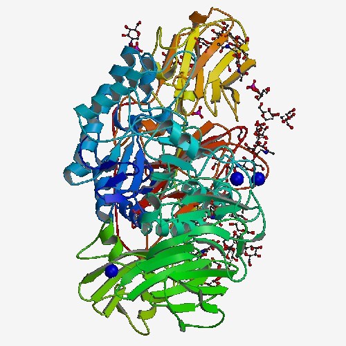 Galactosidase - Creative Enzymes