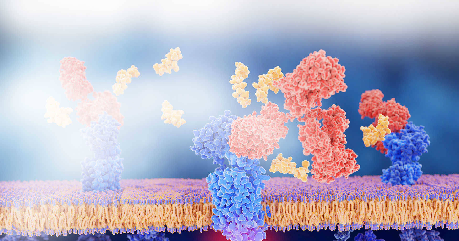 Enzyme, Zymogen, Coenzyme - Creative Enzymes