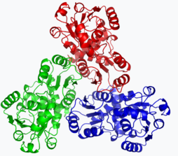 OTC - Creative Enzymes