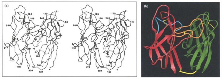 PNGase - Creative Enzymes