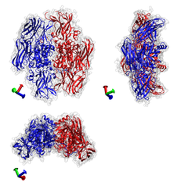 Transglutaminase - Creative Enzymes