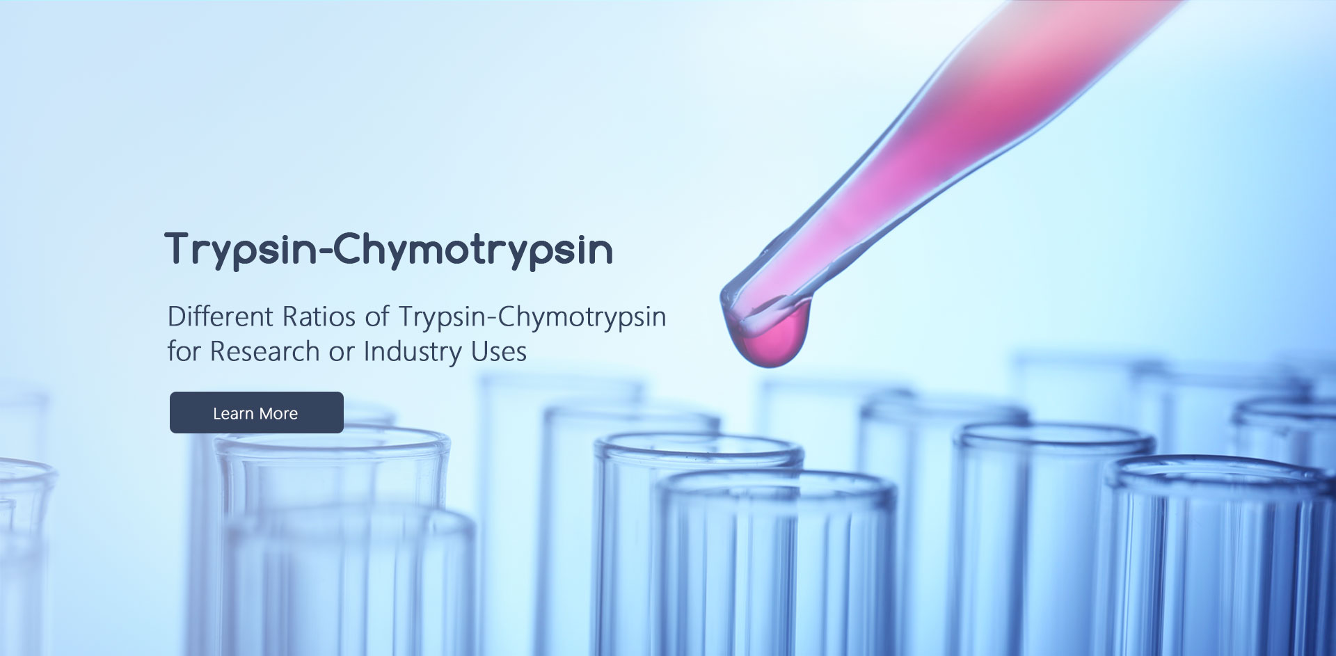 Enzyme, Zymogen, Coenzyme - Creative Enzymes