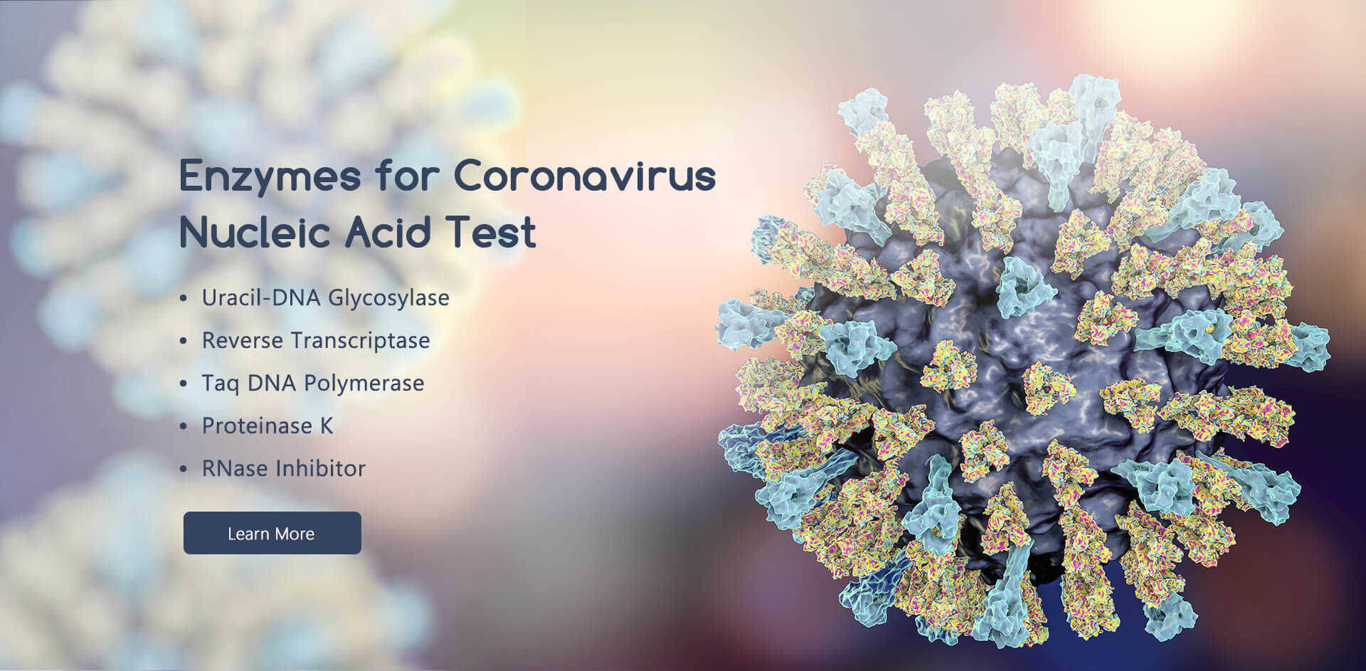 Enzyme, Zymogen, Coenzyme - Creative Enzymes