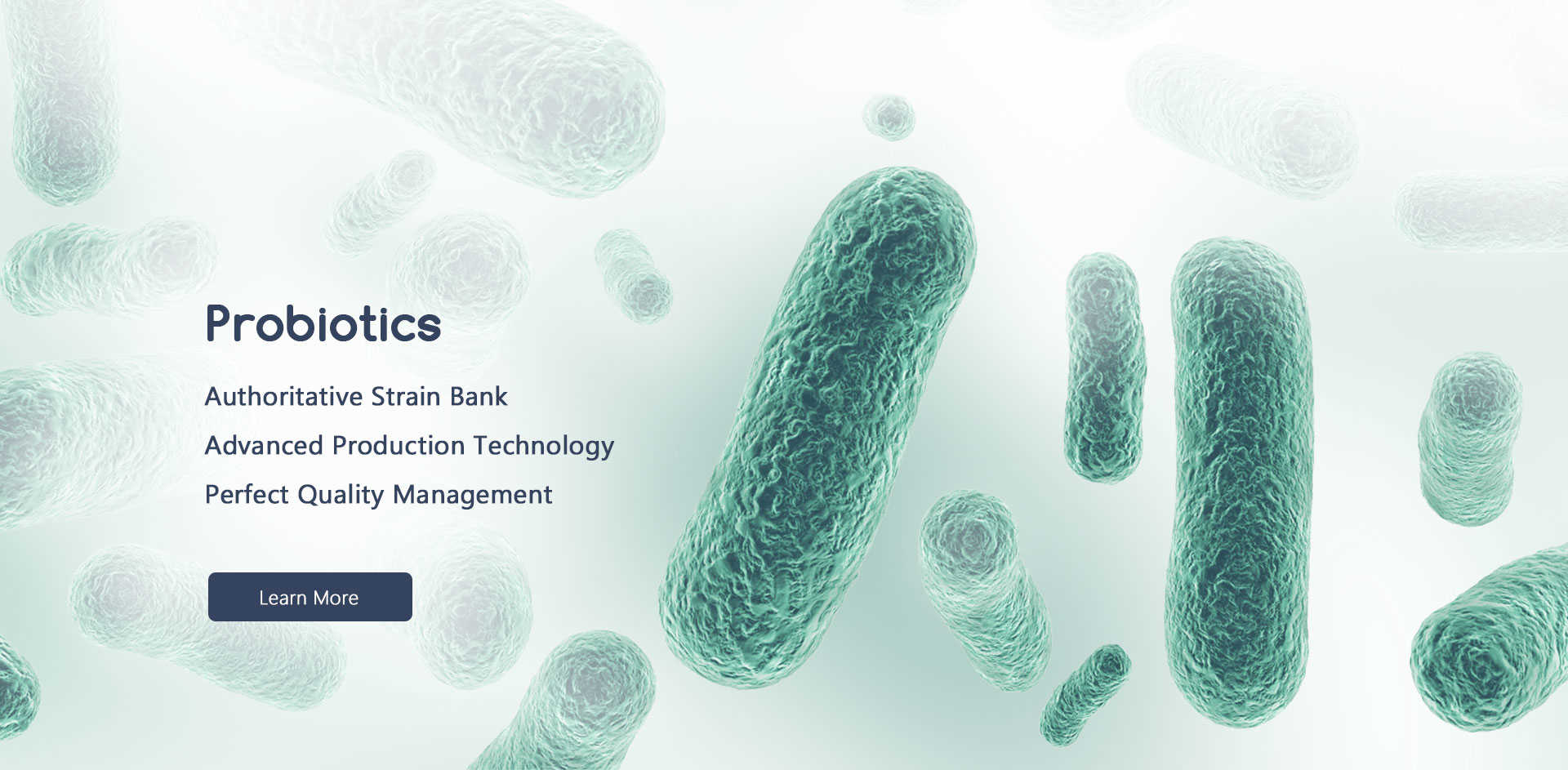 Enzyme, Zymogen, Coenzyme - Creative Enzymes