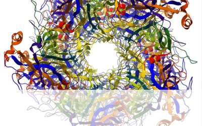 Enzyme, Zymogen, Coenzyme - Creative Enzymes