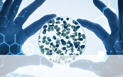 Enzyme, Zymogen, Coenzyme - Creative Enzymes